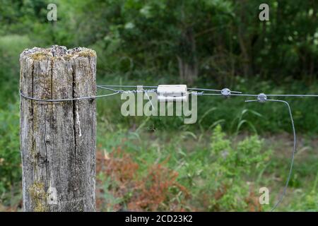 Closeup shot of an electrical wire fence around a pasture Stock Photo ...