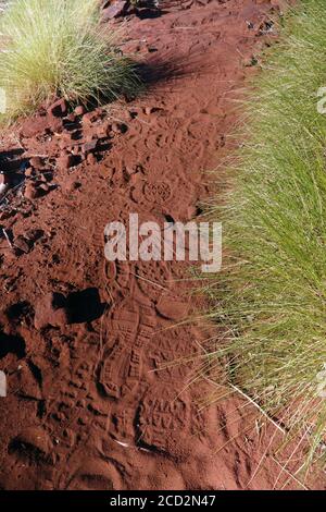 Arid landscape with red soil and bushes plants Stock Photo - Alamy
