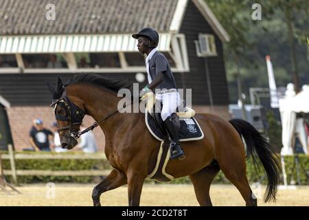 HOG, NETHERLANDS - Aug 15, 2020: Young black horseback rider with large ...