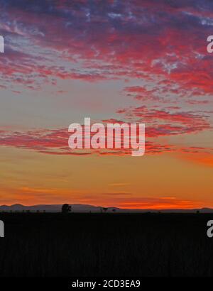 Sunrise over Australian outback Stock Photo - Alamy