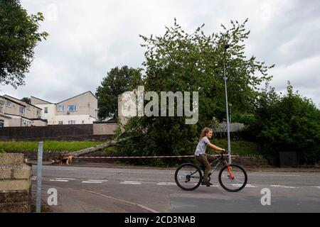 Cardiff, Wales, UK. 26th Aug, 2020. A fallen tree in the Fairwater area ...