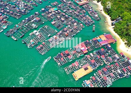 Aerial view of the houses of Tanka people, an ethnic group in Southern ...