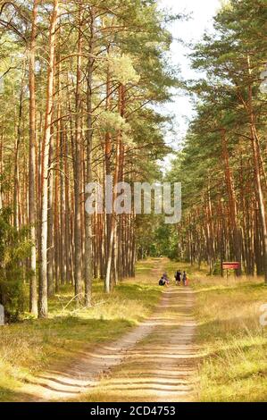 TLEN, POLAND - Aug 17, 2020: Close up of a white wooden open door with ...