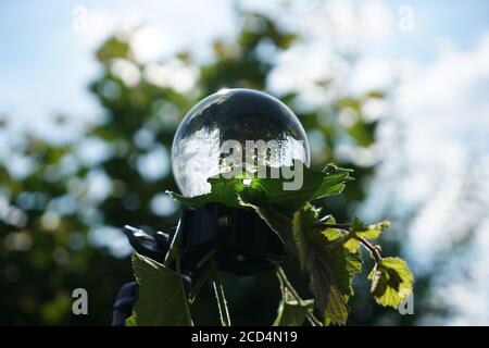 Closeup shot of a reflective glass ball Stock Photo - Alamy