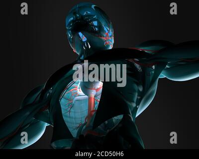 Human anatomy body concept art, 3d illustration Stock Photo - Alamy