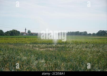 Low angle shot of a field of grass with a man walking in the distance ...