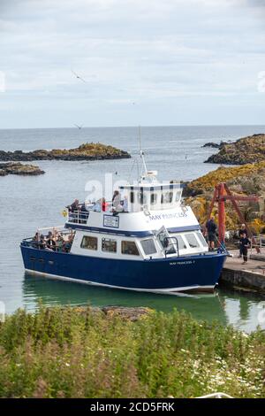 The May Princess pleasure boat at harbour on the Isle of May Stock ...