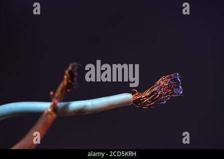 Frayed electrical cord Stock Photo - Alamy