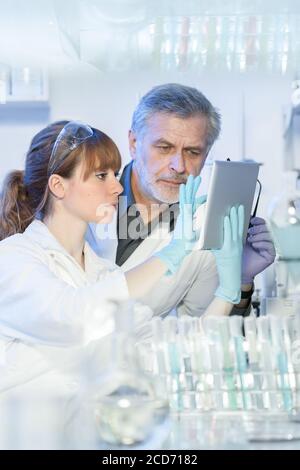 Senior scientist in a chemistry lab carrying out research - looking at ...