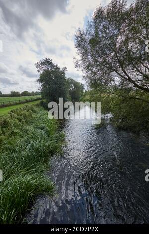 West Beck Chalk trout fishing stream in full flow. in East Yorkshire ...