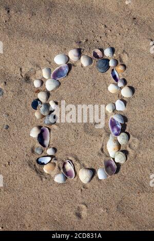 Number 2 laid out from seashells on the sand. Marine background. The ...