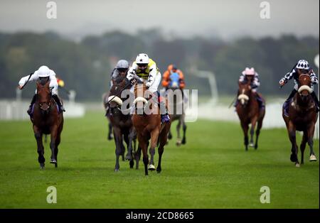 Jockey Connor Beasley on Dakota Gold at York Racecourse Stock Photo - Alamy