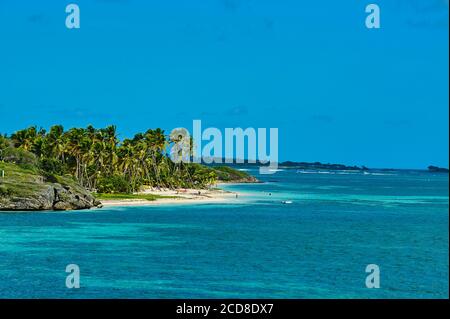 France, Martinique, Cap Chevalier Stock Photo - Alamy