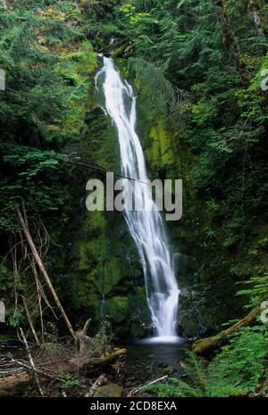 Olympic National Park, Washington: Madison Creek Falls spreads on a ...