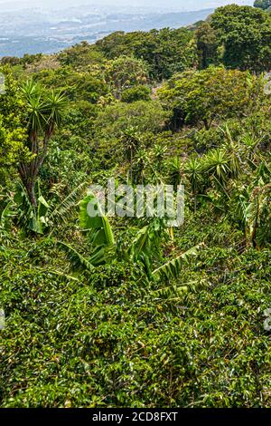 Impressions of rural Costa Rica Stock Photo - Alamy