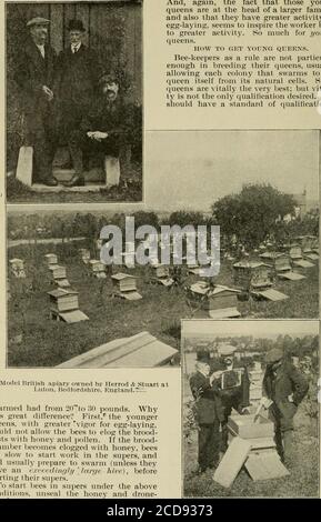 Gleanings in bee culture . es; 20years a queen-breeder; 500 colonies to ...