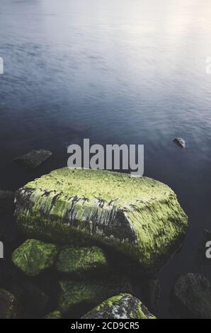 Algae On Rocks At Sea Shore Stock Photo - Alamy