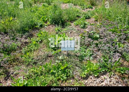 Sign near Crissy Field, in the Presidio, San Francisco, California ...