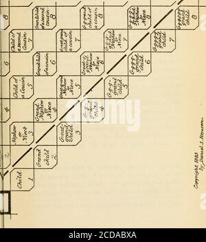 . Intestate succession in the state of New York, showing the rights of ...