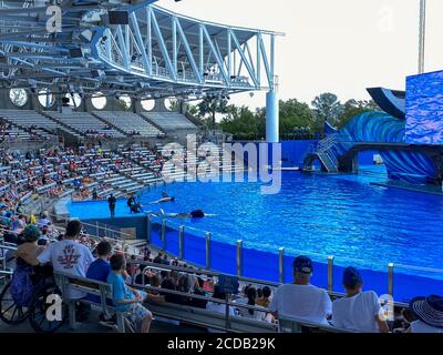 Orlando, FL/USA-7/12/20: The Orca or Killer Whale Exhibit at Seaworld ...