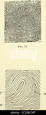 . Classification and uses of finger prints [electronic resource] . Fig ...