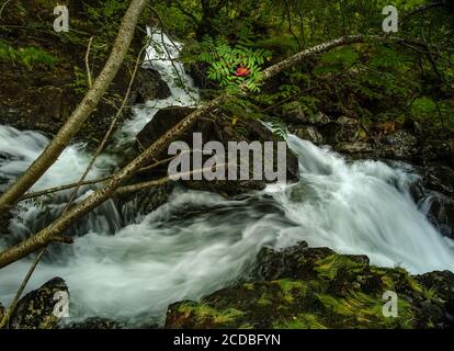 Ritson's Force waterfall, Mosedale Beck, Wasdale Head, Cumbria Stock ...