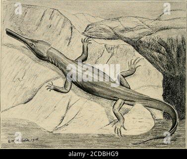 . Water reptiles of the past and present . Fig. 4 Fig. s Fig. 4 ...