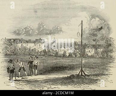 James I and attendants hawking Stock Photo - Alamy