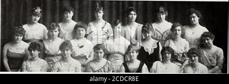 . The badger . Alpha Xi Delta Stock Photo - Alamy