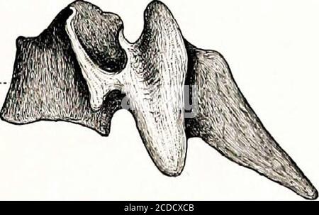 A left side view of the two F-101 Voodoo aircraft landing, with their ...