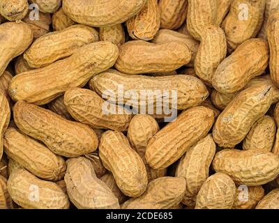 Close up of roasted peanuts in black ceramic bowl with wooden spoon and ...