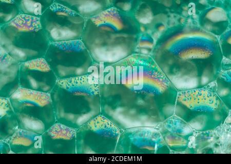 Close up Beautiful green abstract soap bubbles. Background pattern for ...