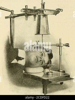 The Shadows in another light, metal tree sculpture on the banks of the ...