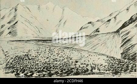 Pipiriki, Wanganui River, New Zealand, Muir & Moodie studio, 1905 ...