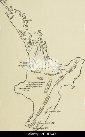 Physical and political map of New Zealand. [Adobe Illustrator (.ai ...