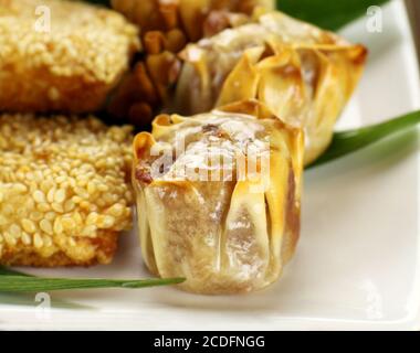 Delicious dim sims, sesame shrimp toasts and spring rolls ready to ...