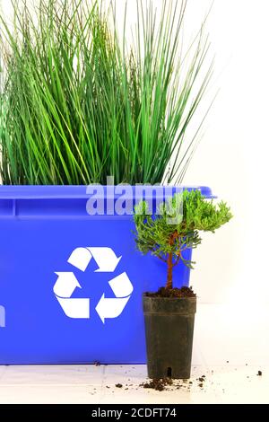 Green recycle bin with grass isolated on white background Stock Photo ...