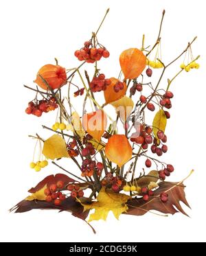 Hawthorn Tree branches with Oak branch and Acorns would make a good ...