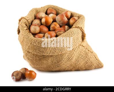 String bag with hazelnuts isolated over the white background Stock ...
