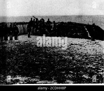 . The First Maine Heavy Artillery, 1861-1865 [electronic resource]: a ...