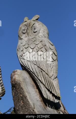 Owl park clock Stock Photo - Alamy