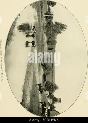Cattle cross in front of the building housing the Vietnam-Laos ...