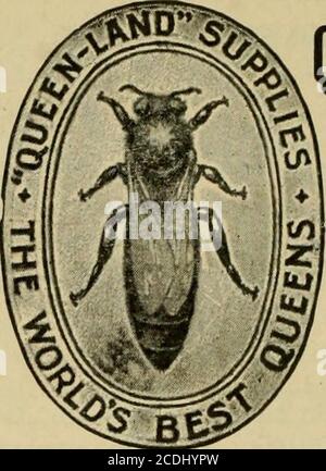 Gleanings in bee culture . es; 20years a queen-breeder; 500 colonies to ...