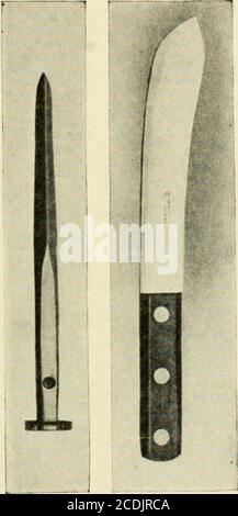 . Veterinary post-mortem technic . edge of the knife along the ...