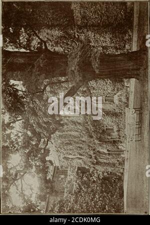 Lord William Coleridge in the Library at The Chanter's House, Ottery St ...