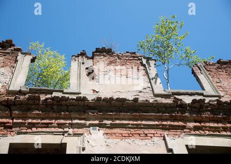 Schlobitten Palace ruined of Dohna family from XVI to 1945 in Slobity ...