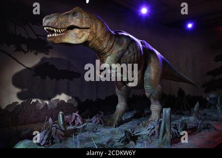 the Museum's dinosaurs are world - famous . Meet the roaring T.rex ...