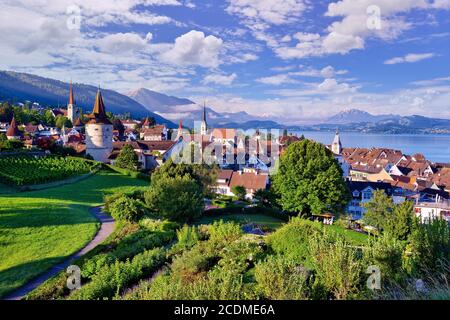View of Lake Zug and Mount Pilatus, with pear trees in blossom (Pyrus ...
