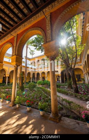Patio with colonnade, inner courtyard with flowerbeds, Andalusian noble ...