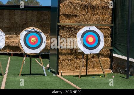 Targets for archery on a green background. Three red darts in the ...
